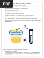 Transaminasas - TGO, TGP y GGT | PDF | Transaminasa | Especialidades Medicas