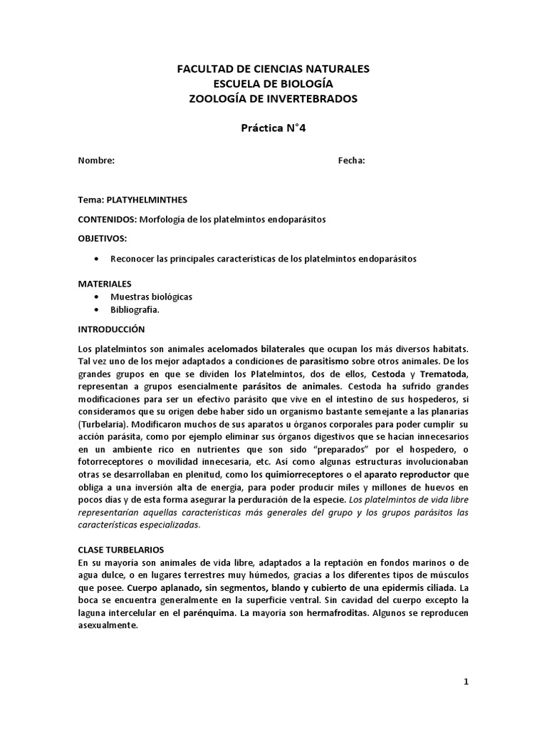 Guia Platyhelminthes | PDF | Protostomas | Biología