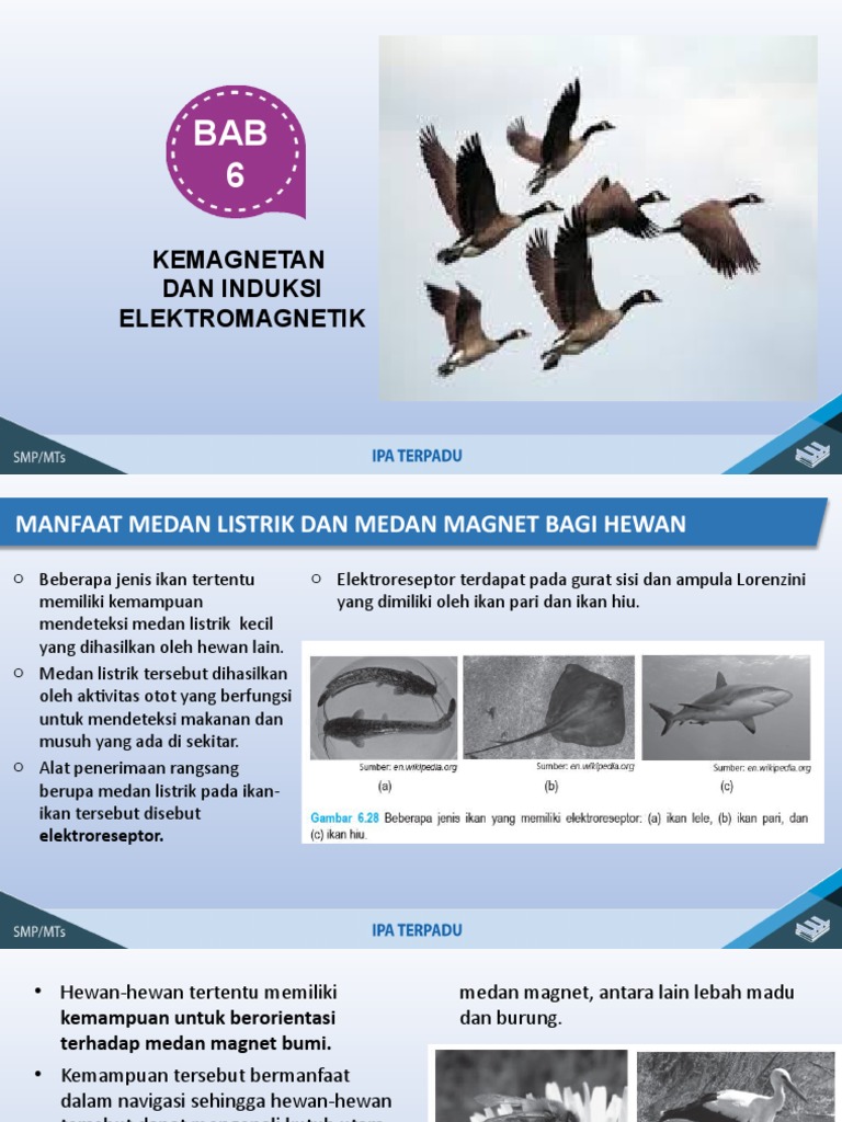 Kemagnetan 03 | PDF