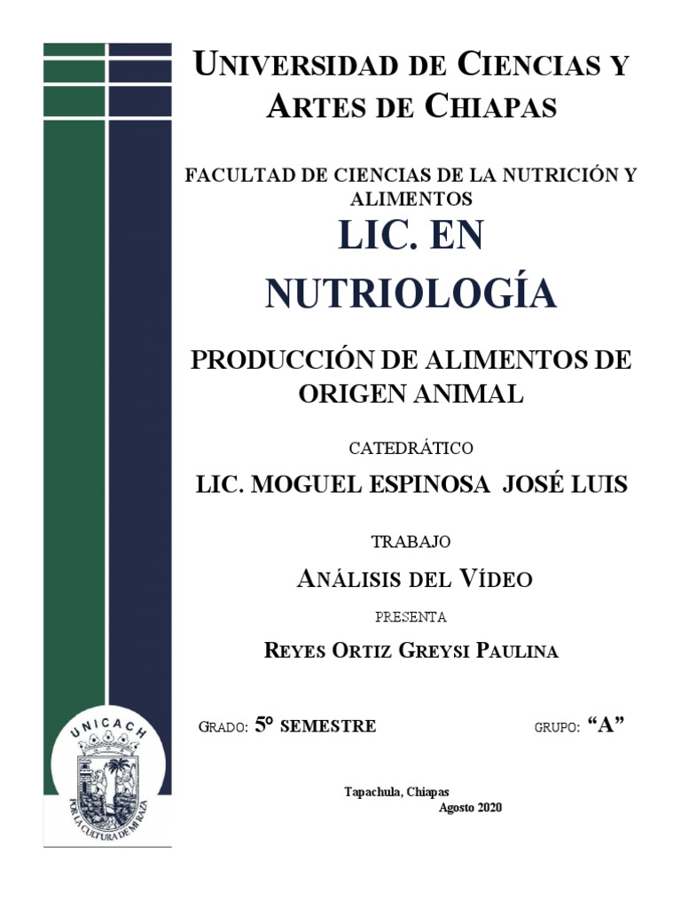 Analisis de Video Greysi Reyes | PDF