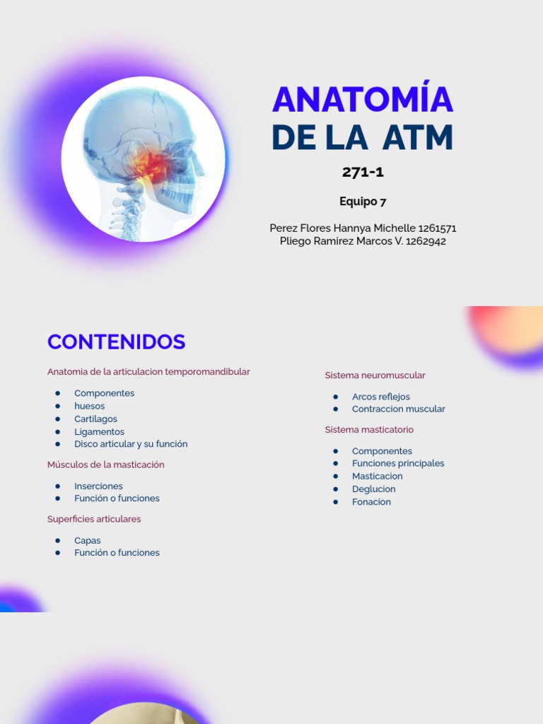Trabajo 2 - Anatomia de La ATM | PDF | Articulación | Cartílago