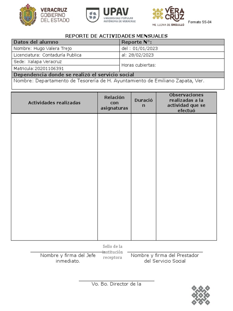 Formato SS-04 Reporte Mensual | PDF