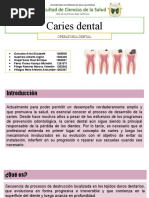 Etapas y Grados de Caries PDF | PDF | Diente | Odontología