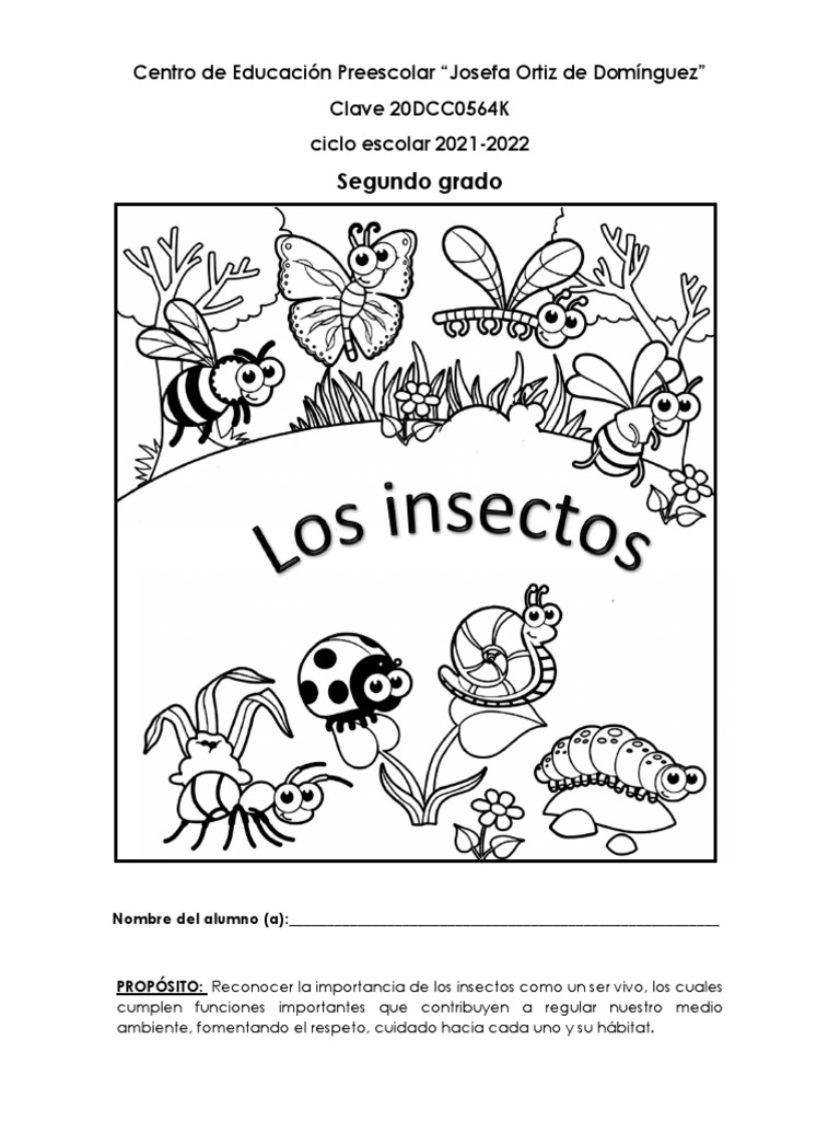 Hojas De Trabajo Sobre Insectos Para Primer Grado PEQUEfelicidad: