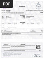 E5CINCO Formato Opcion 1 | PDF