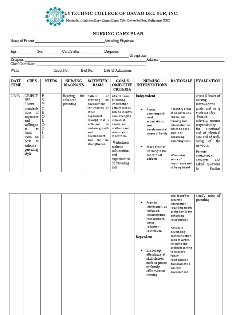 NCP Format 1 1 | PDF | Nursing | Parenting