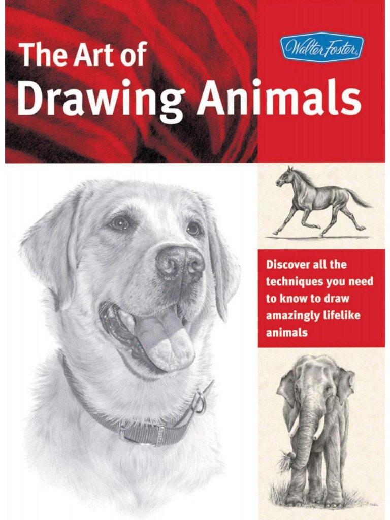 Drawing Animals | PDF