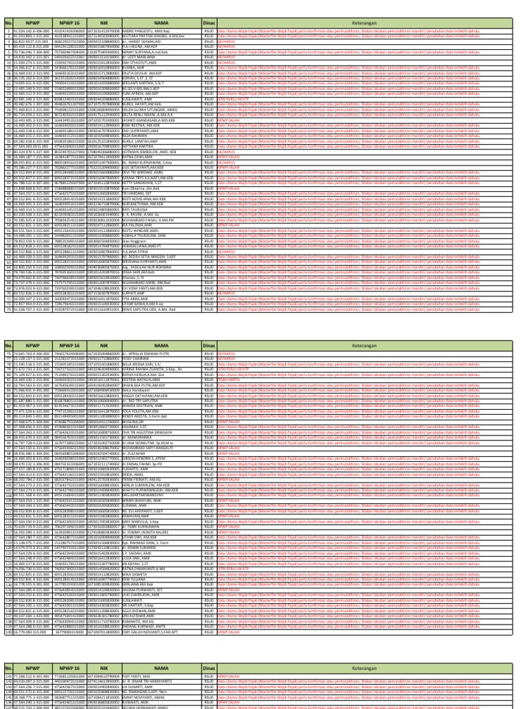 Data NPWP Pegawai Asn Rsud Sejiran Setason | PDF