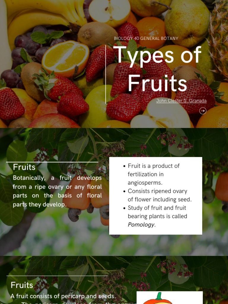 Types of Fruits | PDF | Fruit | Agriculture