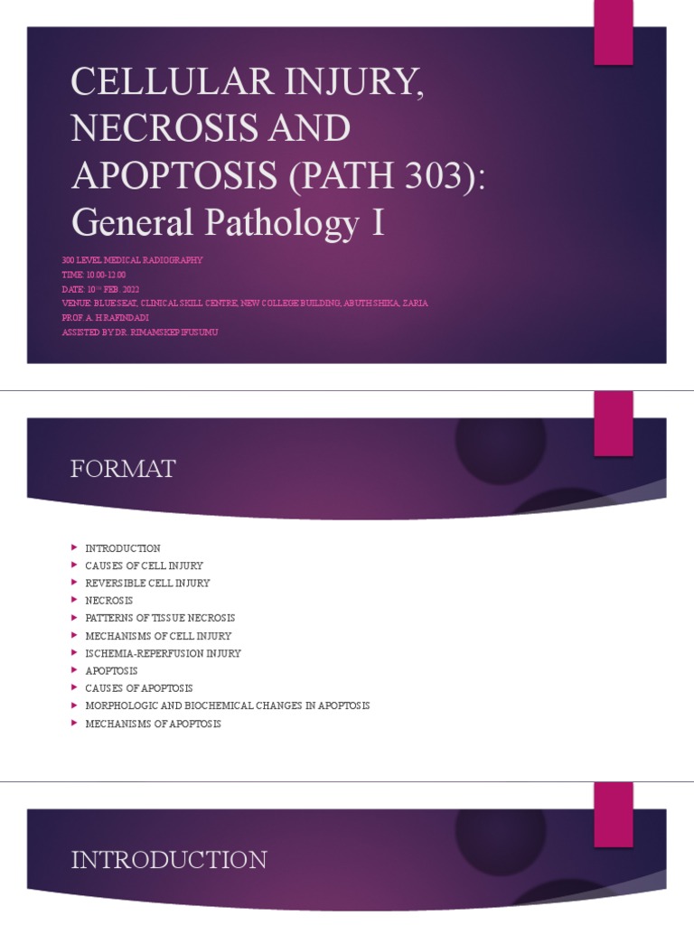 Cellular Injury Necrosis And Apoptosis Pdf Apoptosis Caspase