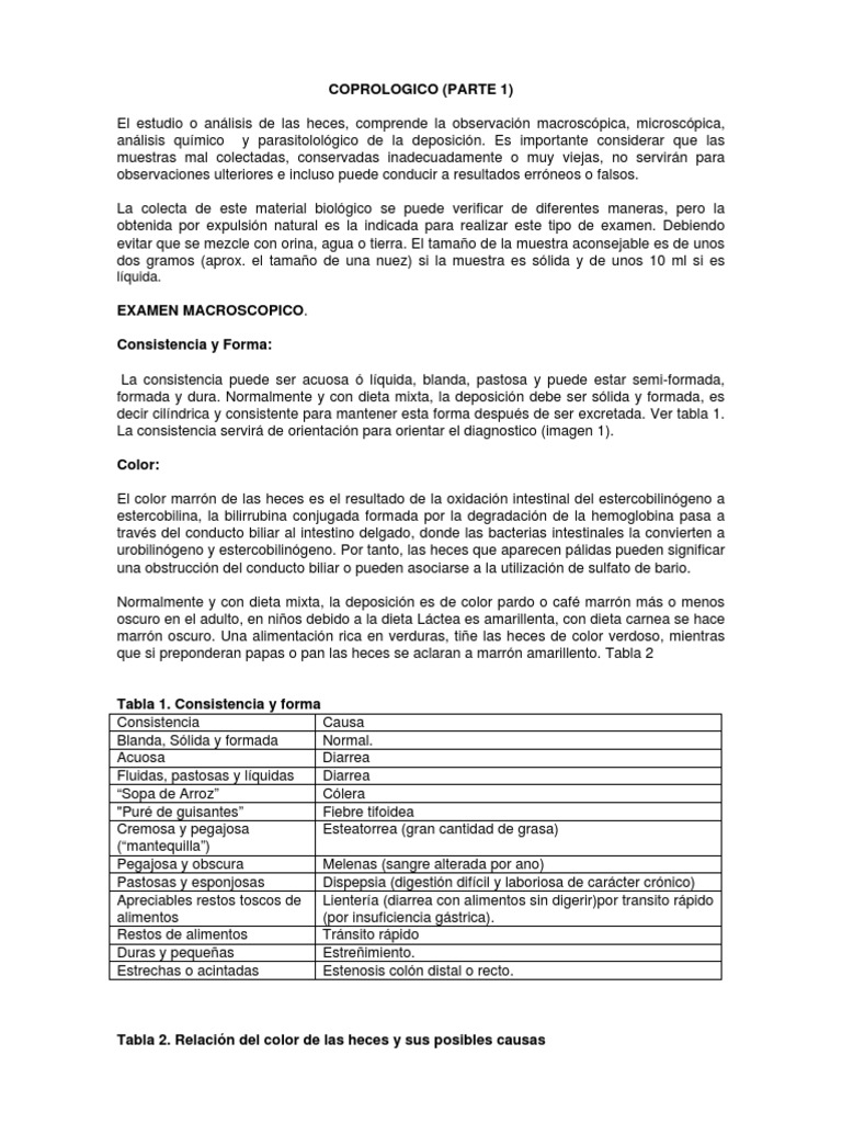 Análisis Coprológico: Métodos y Resultados | PDF | Infección del tracto ...