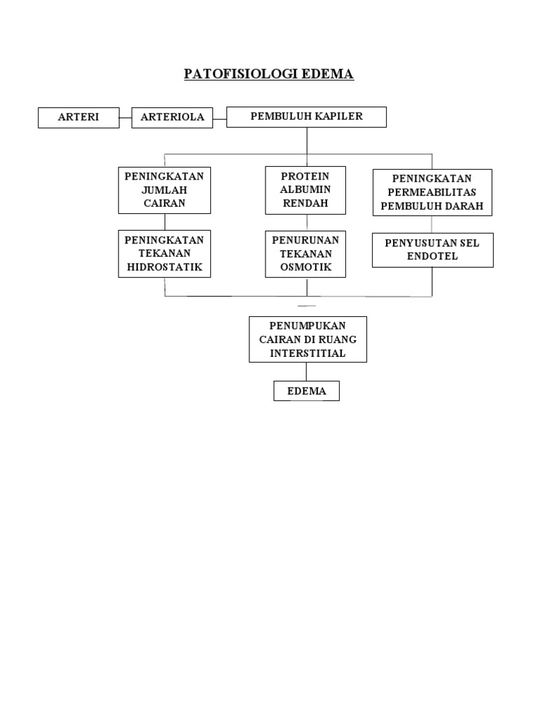 Patofisiologi Edema 1 | PDF