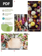 Dell Support Comparison Chart Revised | PDF | Solid State Drive | Dell