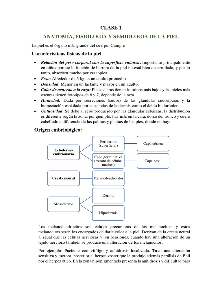 Resumen Clases Dermatologia | PDF | Piel | Epidermis