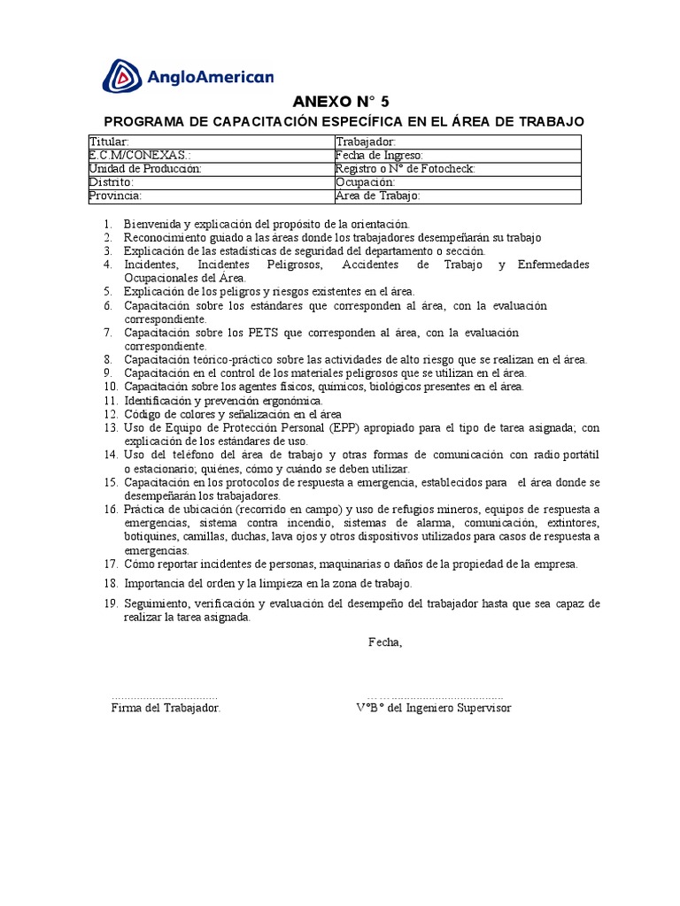 Anexo 5 DS 024 2016 | PDF | La seguridad