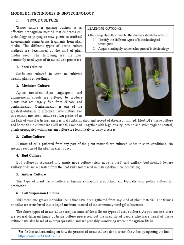 Basic Biotechnology Module 2 | PDF | Genetic Code | Dna