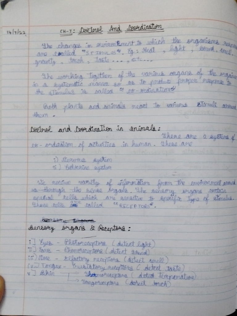 Control and Coordination Notes Upto Brain | PDF