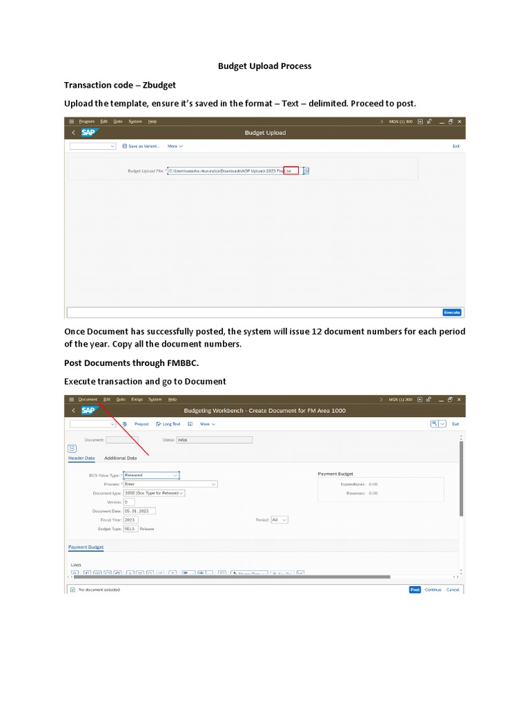 SAP Upload Budget and Budget Transfers Manual | PDF