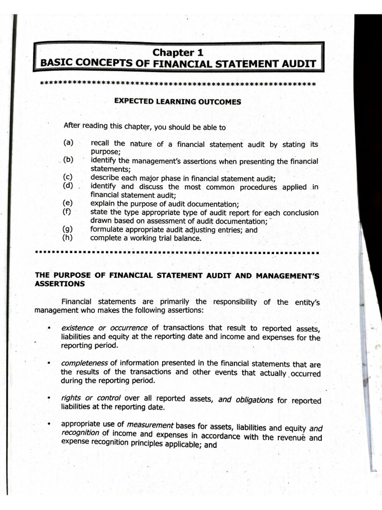 Auditing Empleo | PDF