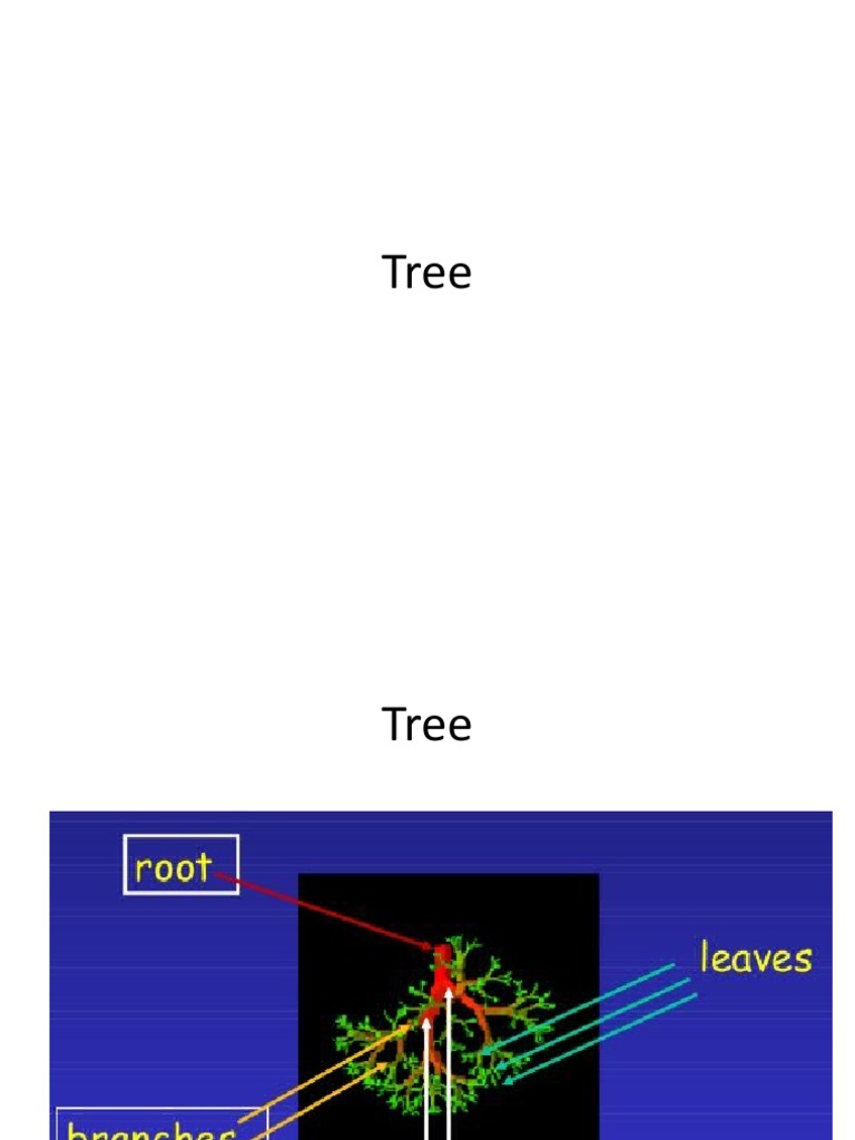 Trees | PDF | Vertex (Graph Theory) | Graph Theory