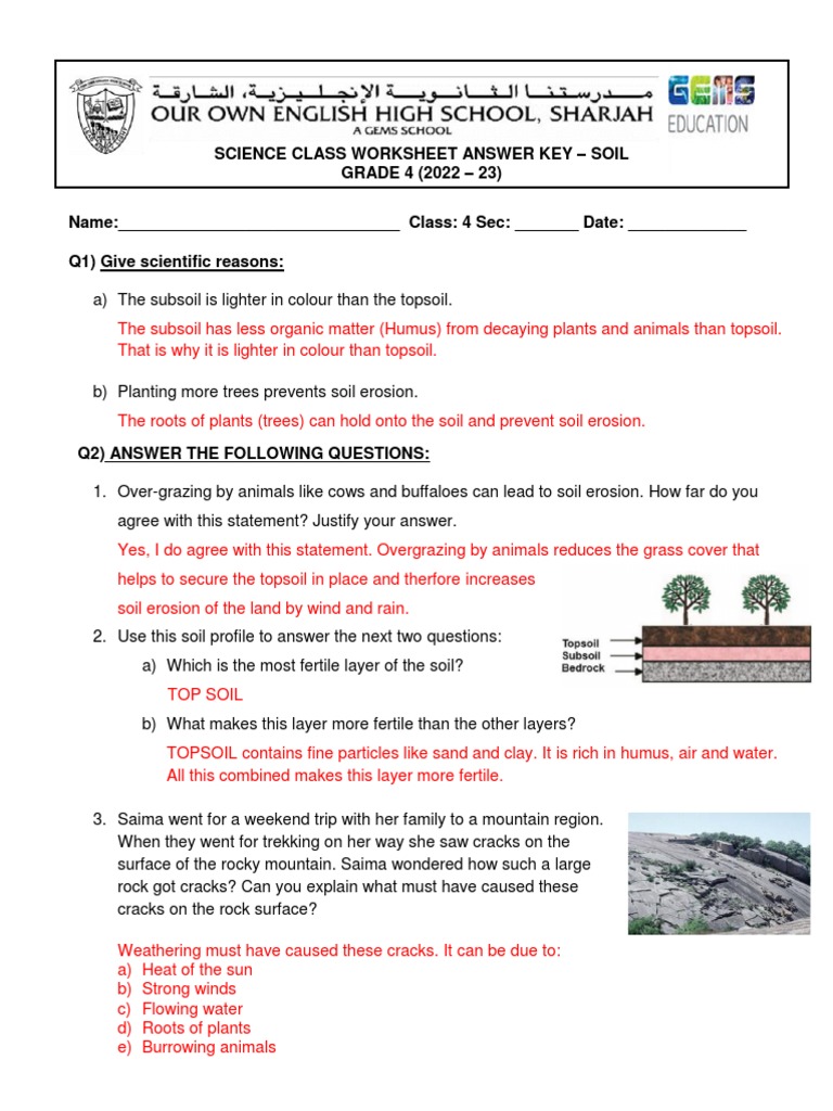 Understanding Soil: An Answer Key to a Grade 4 Science Worksheet on ...