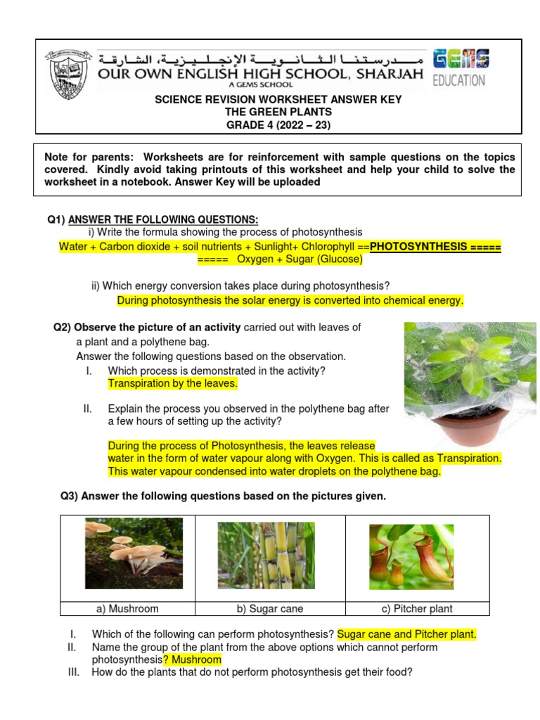 GR 4 Rev WS ANSWER KEY - THE GREEN PLANTS | PDF | Photosynthesis | Plants