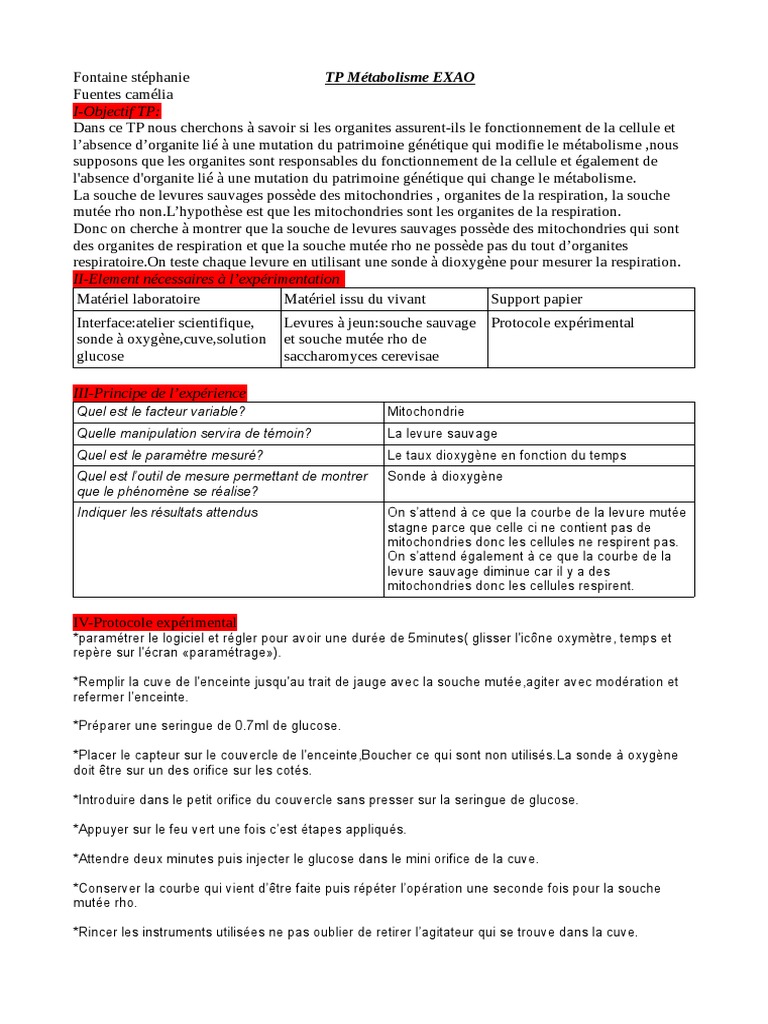 Mitochondries et Métabolisme Cellulaire | PDF | Levure | Cellule (Biologie)