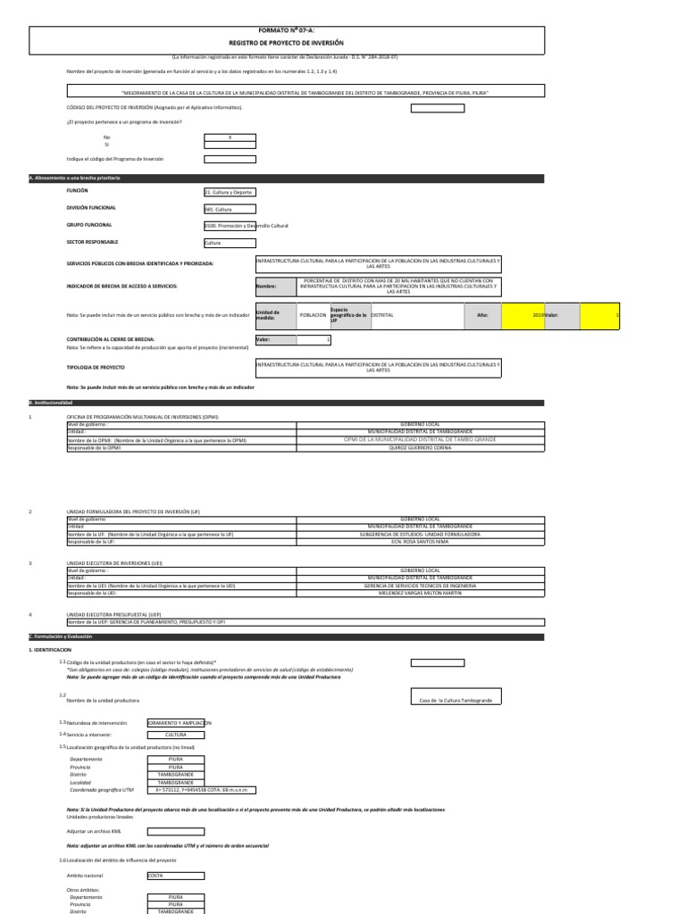 Formato 07a Reg. Pry. Inv | PDF | Asociación público-privada ...