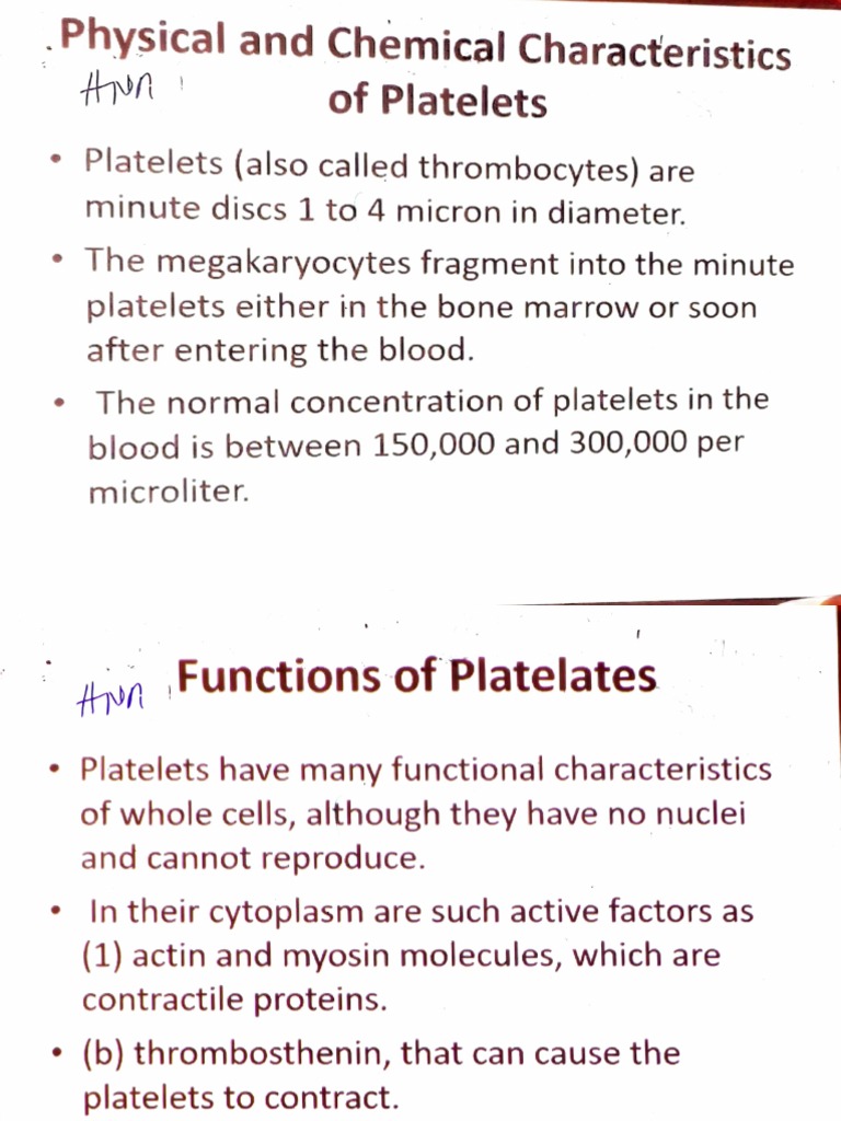 Physiology Platelets Notes | PDF