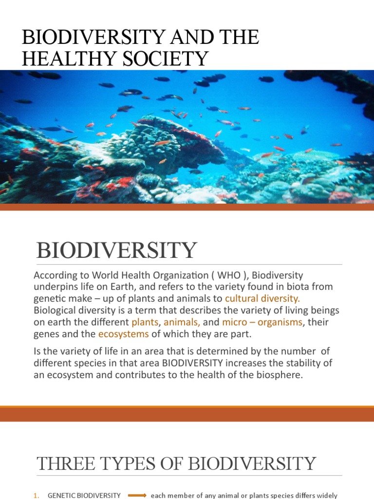 Biodiversity and The Healthy Society | PDF | Biodiversity | Agriculture
