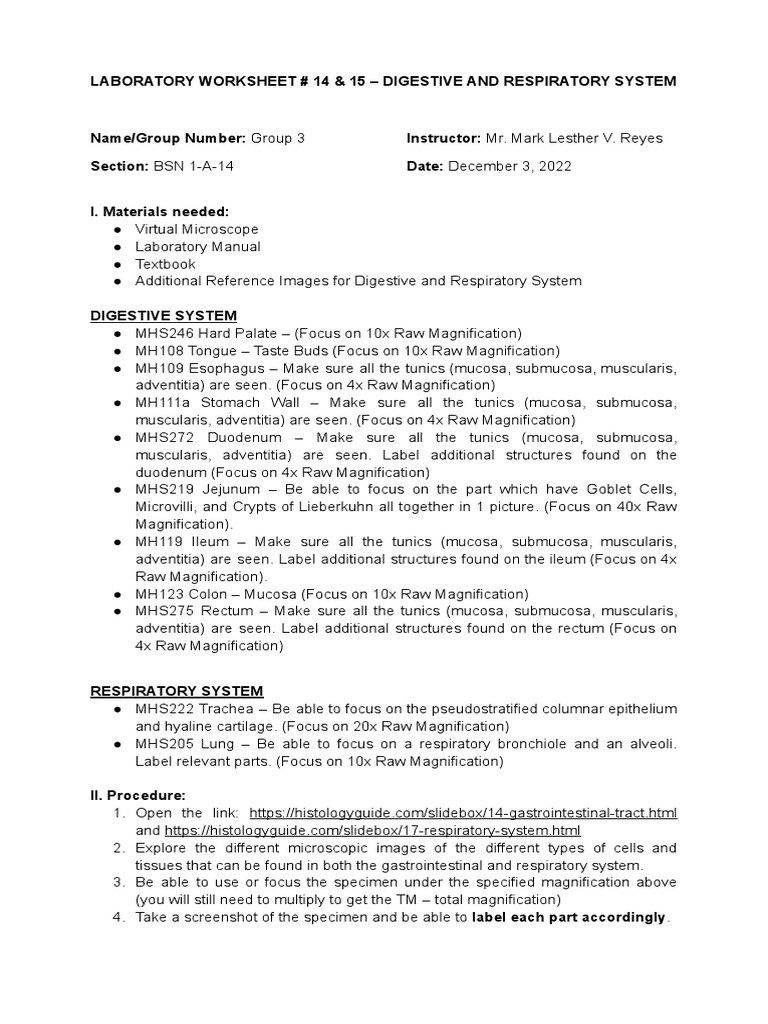 Laboratory Worksheet # 14 & 15 - Digestive and Respiratory System | PDF ...