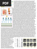 Anatomy and Physiology Cheat Sheet Scioly 2025 | PDF | Muscle ...