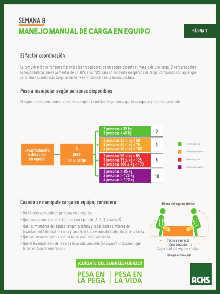 Dinámicas Sem8 | PDF