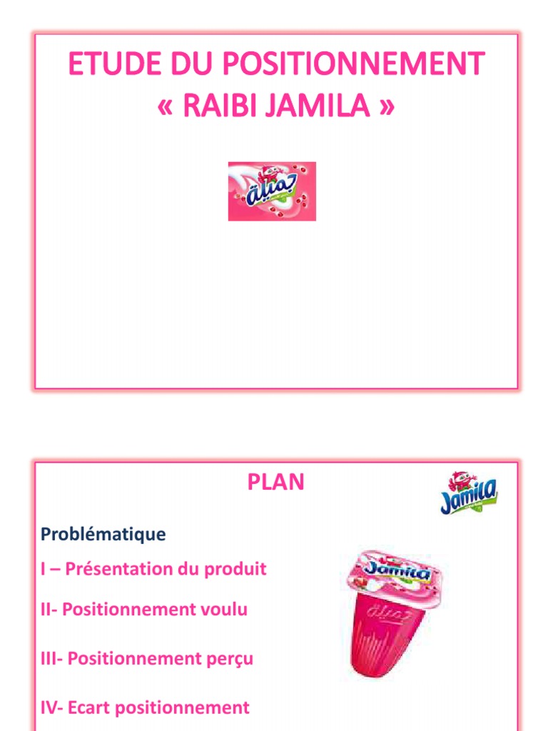 RAIBI | PDF | Yaourt | Business