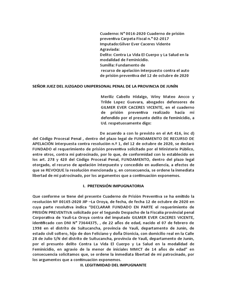 Modelo Solicitud de Apelacion | PDF | Apelación | Sentencia (ley)