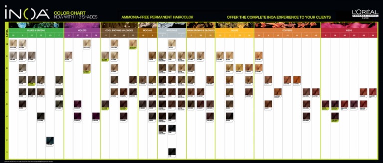 INOA Color Chart | PDF