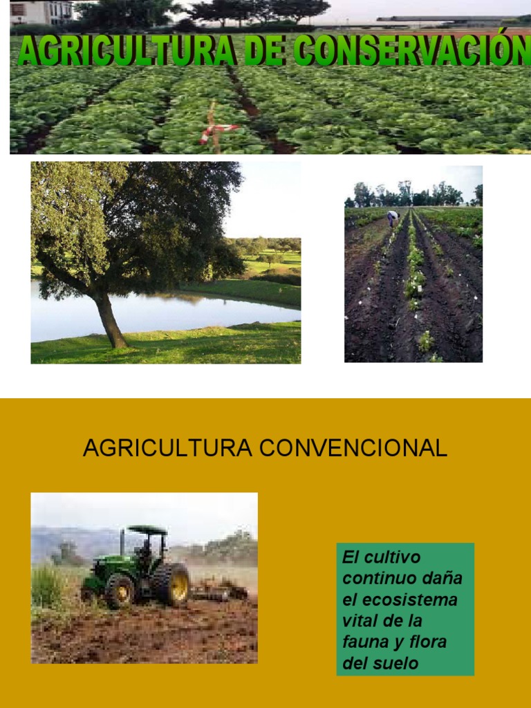 Presentación Agricultura de Conservación | PDF