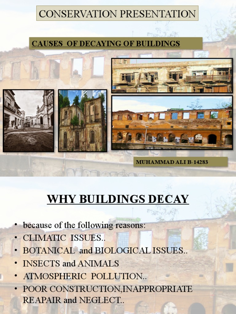 Causes of Decay of Buildings | PDF | Plants | Wood