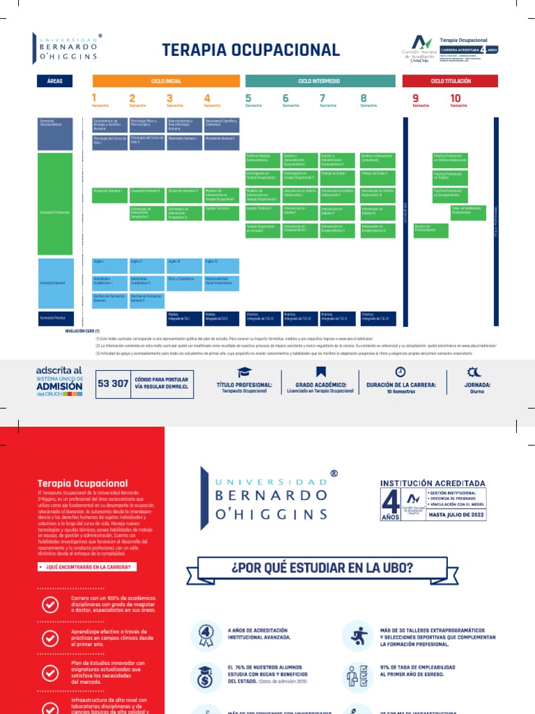 Malla TERAPIAocupacional UBO Innovada | PDF | Terapia ocupacional | Psicoterapia