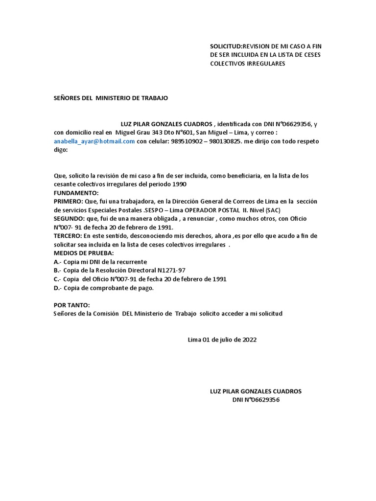 SOLICITUD de Luz | PDF