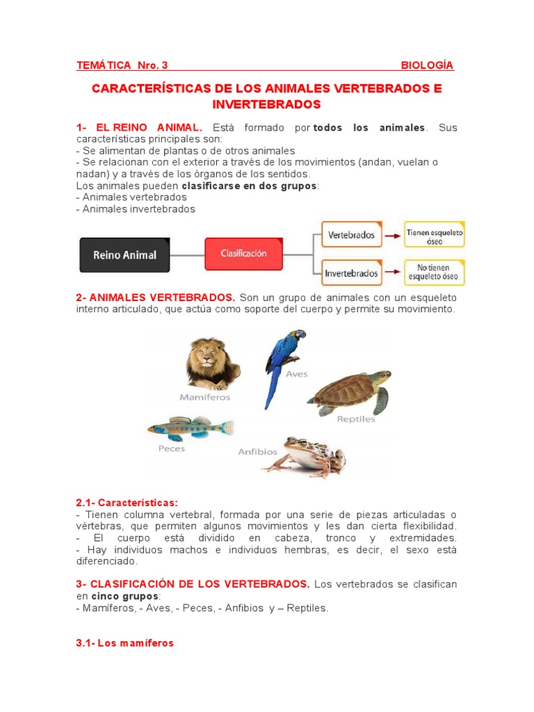 Clasificación de Vertebrados e Invertebrados | PDF | Esqueleto ...