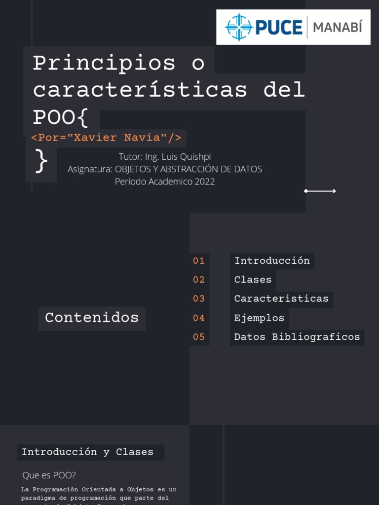 Principios POO | PDF | Objeto (informática) | Programación orientada a objetos