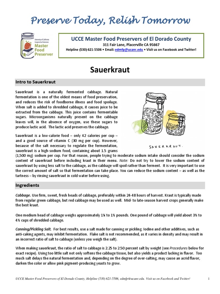 Pickling Guide | PDF | Sausage | Celery