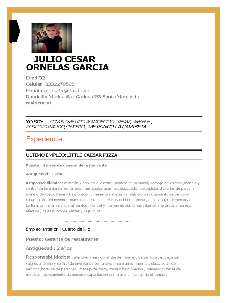 CV Julio Ornelas | PDF