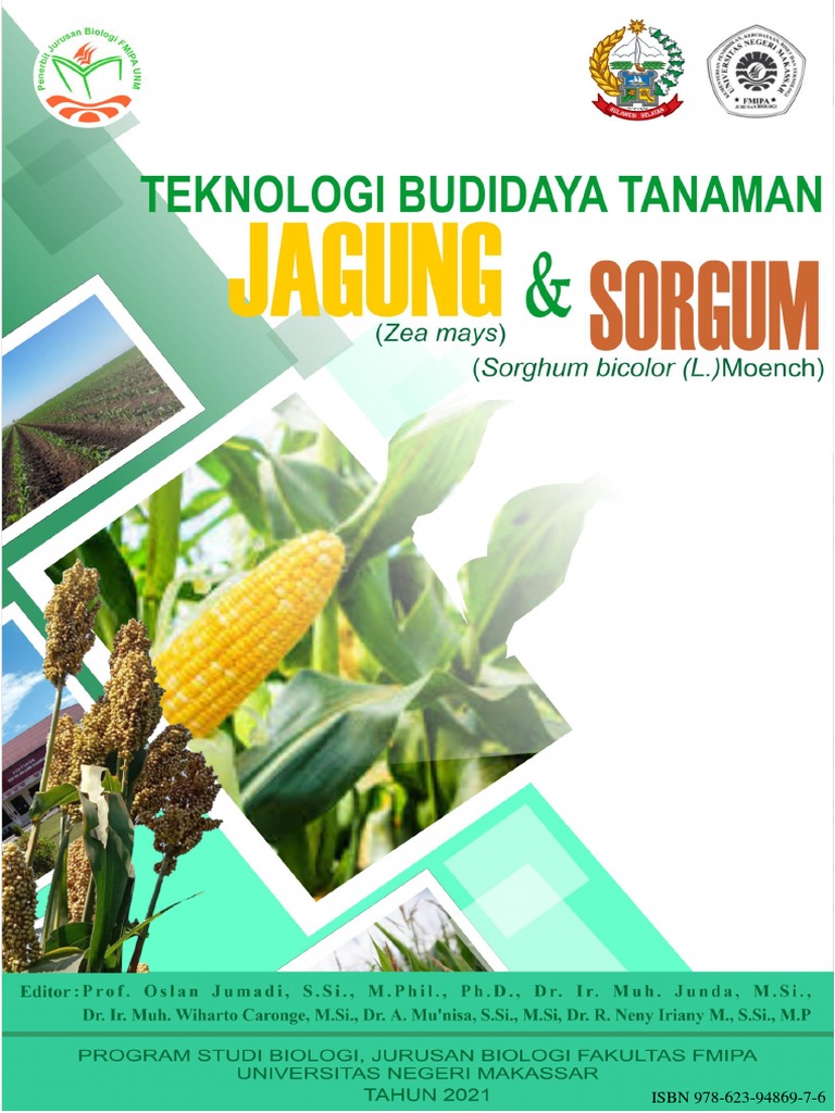 Buku Budidaya Jagung - Sorgum Balitsereal 2021 | PDF