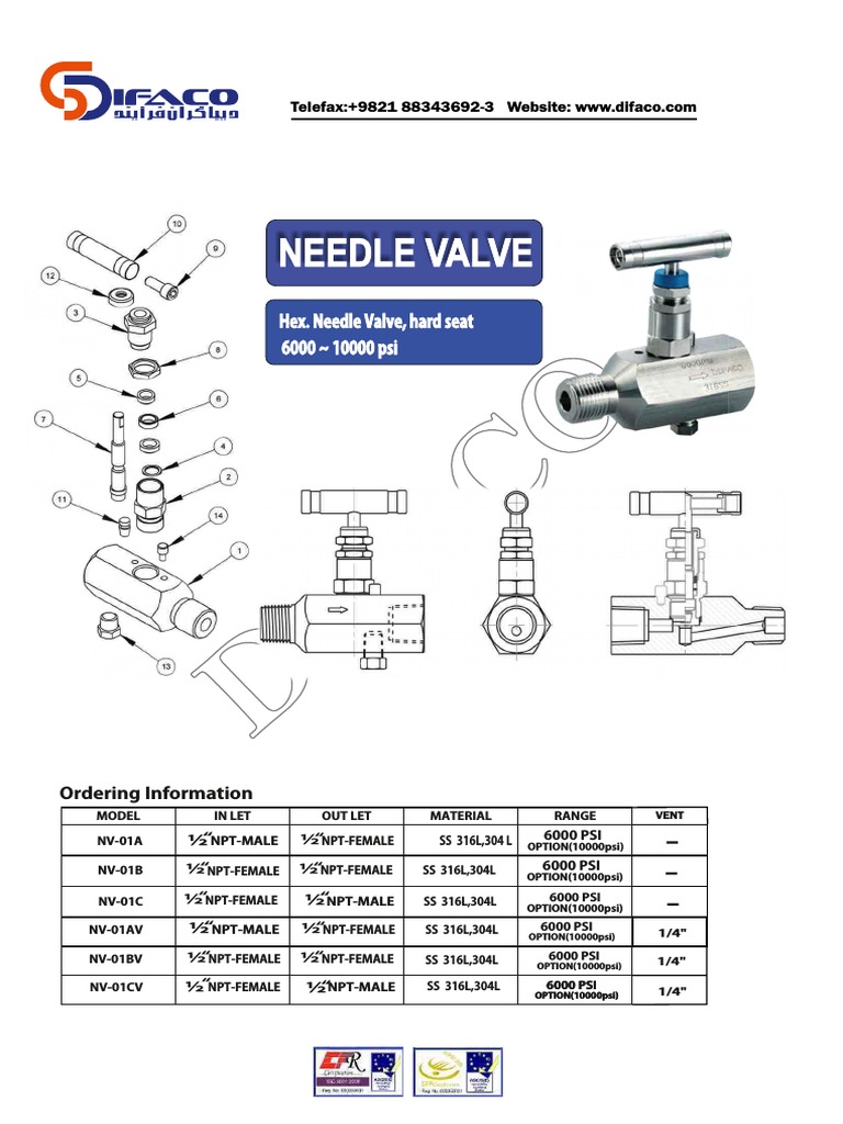 Needle Valve | PDF