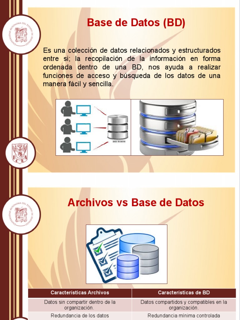 Base de Datos | PDF | Bases de datos | Información