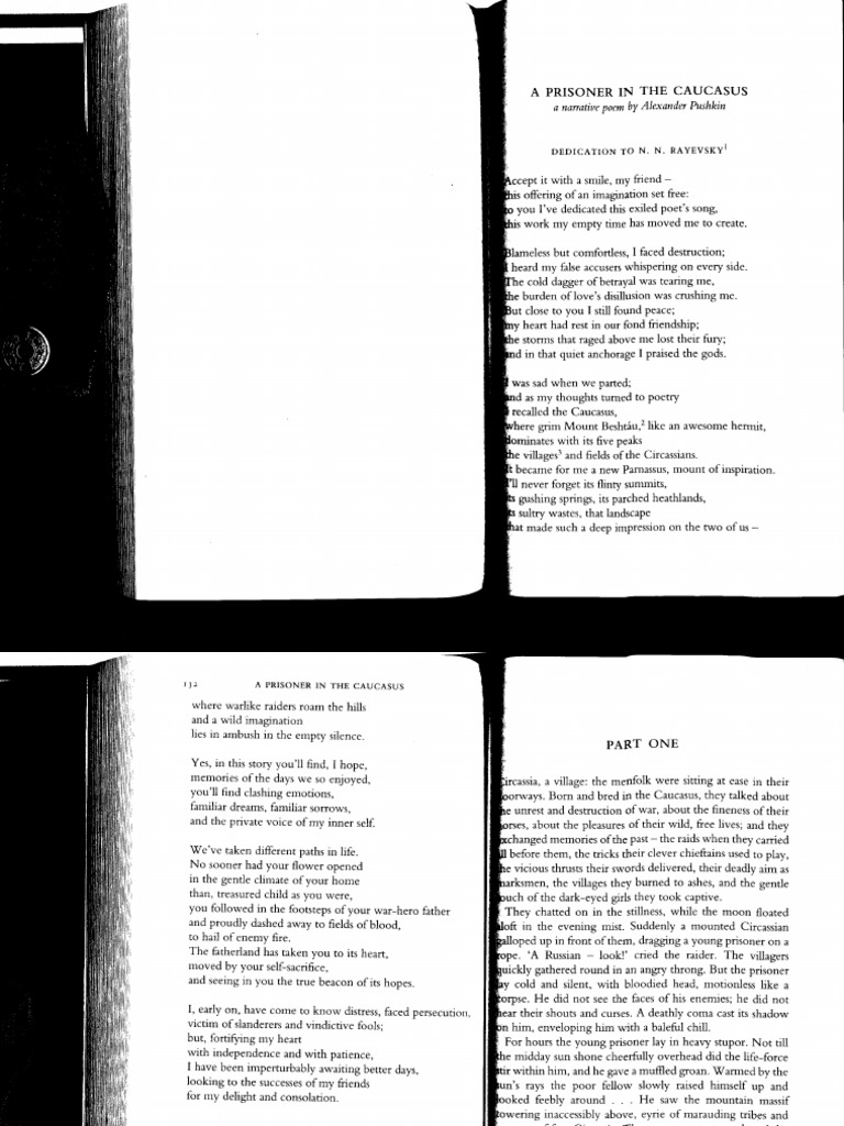 Prisoner | PDF | Poetry | General Fiction