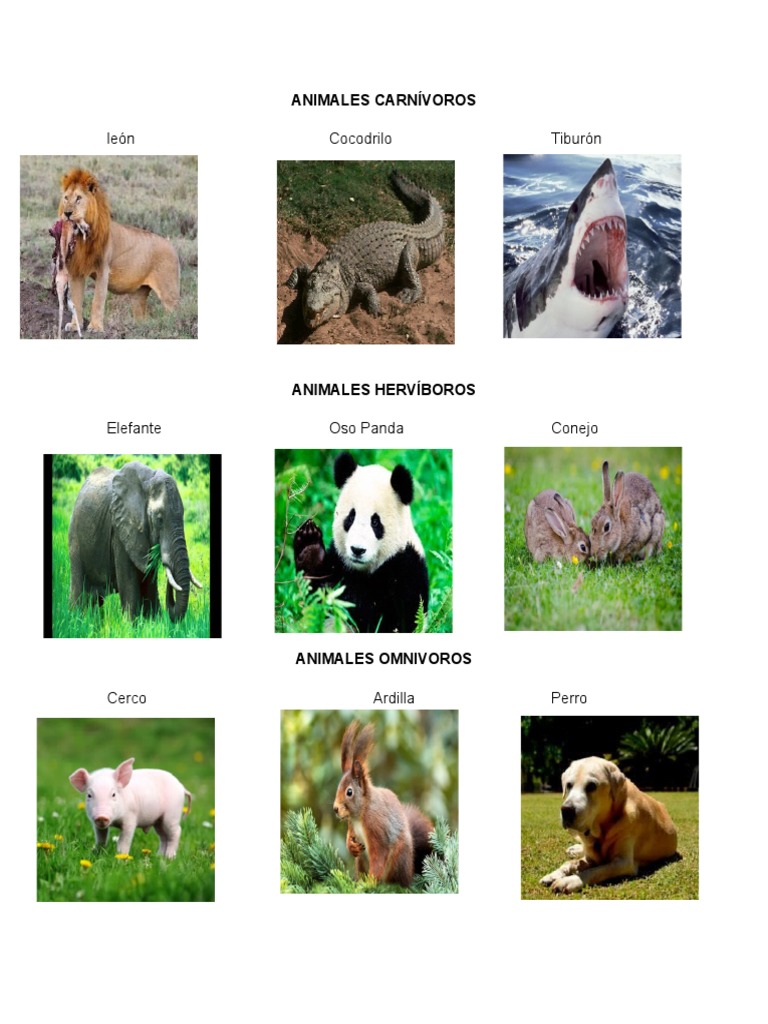 ANIMALES CARNÍVOROS | PDF