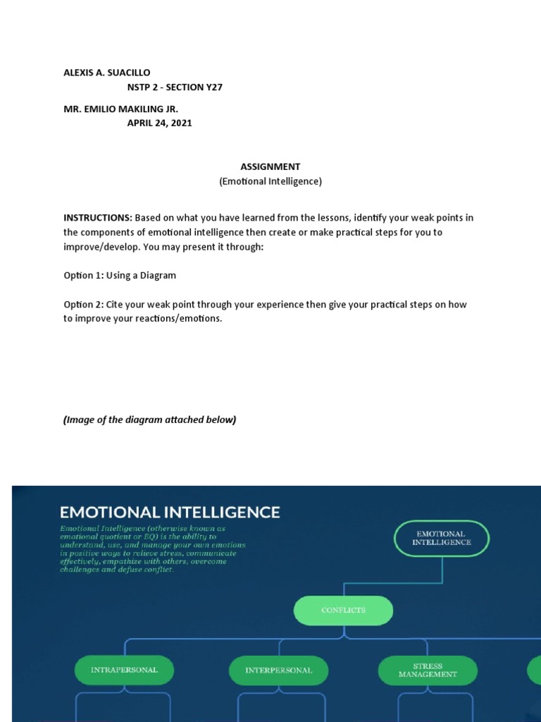 Assignment - Emotional Intelligence | PDF